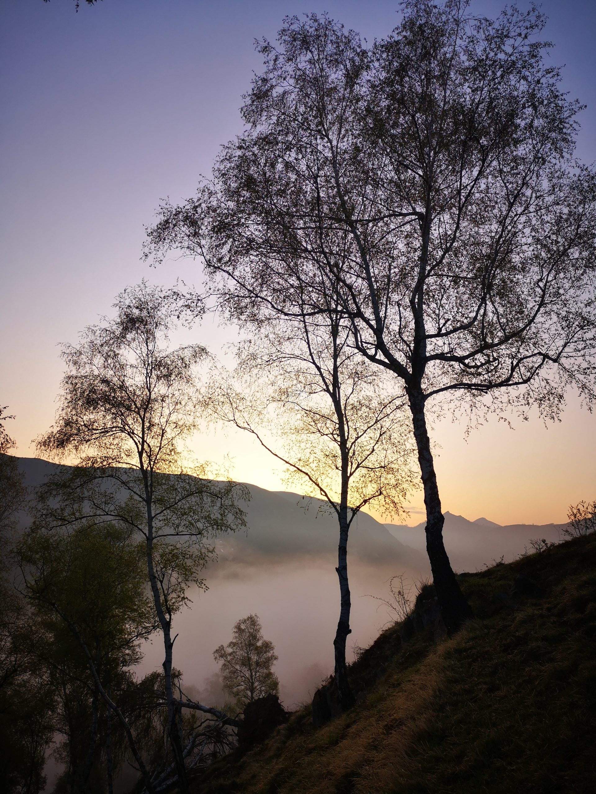 Fil...de Vie - Justes Relations